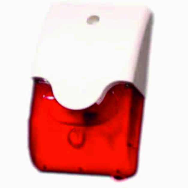 Strobe with Hooter – C Systems